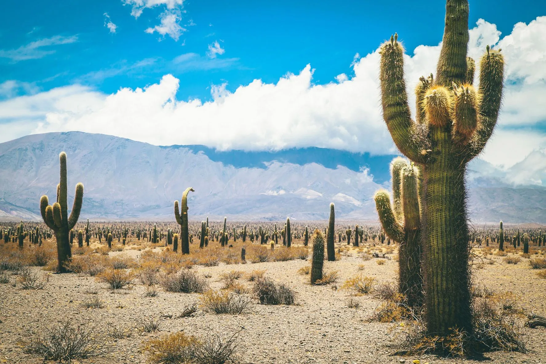 Visit Argentina - Baritú National Park